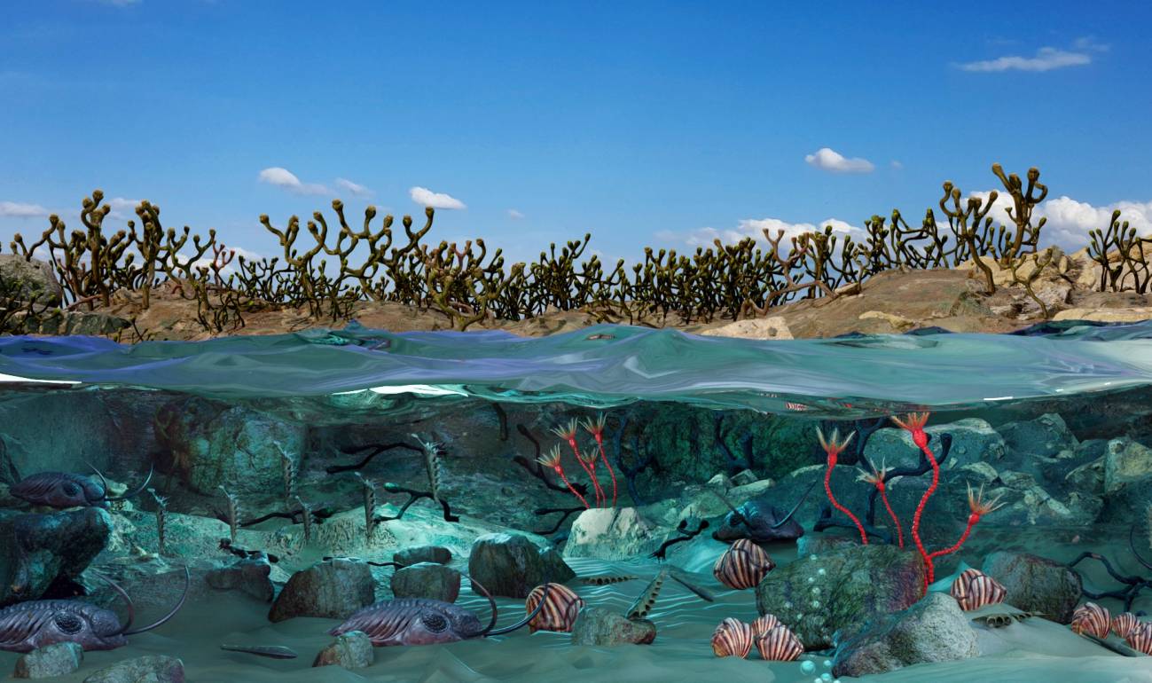 Así era la flora terrestre hace 420 millones de años en América del Sur ...