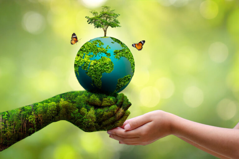 El papel que juega la biodiversidad en los ecosistemas y para la ...