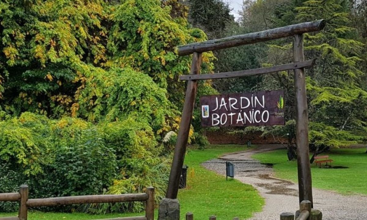 No se podrá ingresar con perros o gatos a Jardín Botánico en Valdivia ...