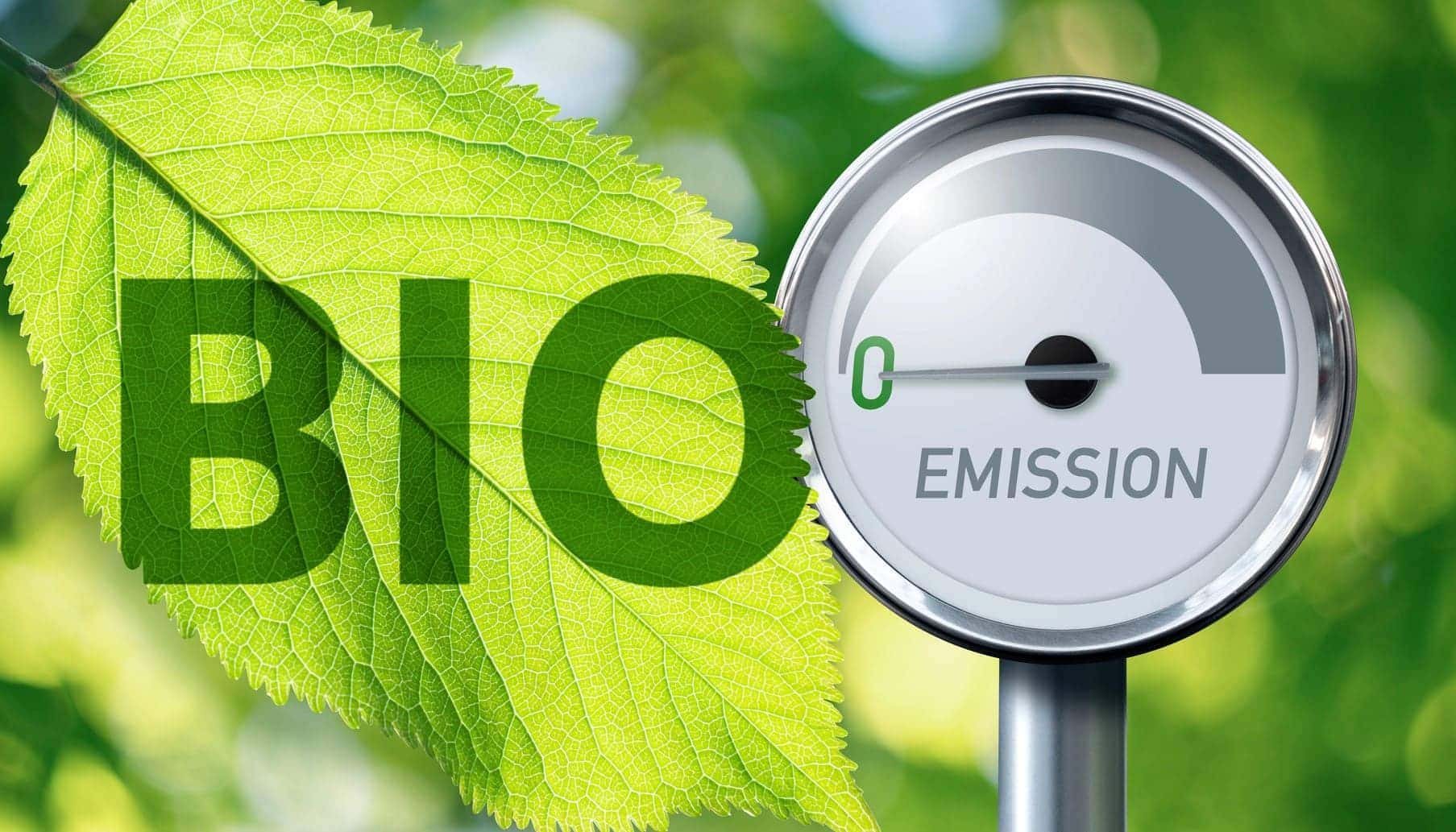CCAA y MITECO ponen en valor el ‘gas verde’ para la descarbonización de ...